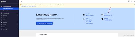 内网穿透 Ngrok