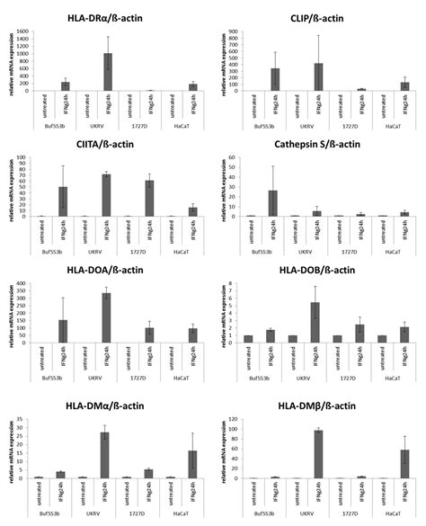 Cancers Free Full Text Distinct Molecular Mechanisms Of Altered HLA Class II Expression In