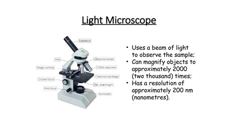 Magnification Lesson Of Gcse How To Find Magnification Questions Ppt