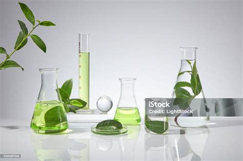 삼각 플라스크 측정 실린더 비커 및 페트리 접시를 포함한 다양한 유형의 실험실 기기가 흰색 질감에 표시되며 모든 항목은 녹색 또는 투명한 액체로 채워져 있습니다 0명에 대한