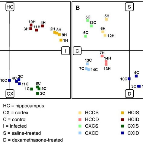 The Correspondence Analysis Coa Of The Microarray Dataset The Coa Download Scientific