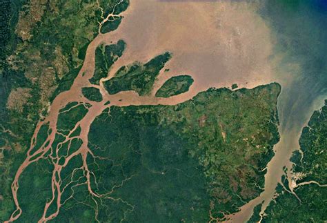 Amazon River From Satellite