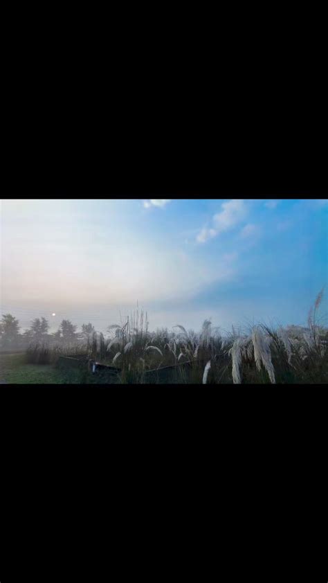 Nazmus Sadat ♥ Nazmussaadat • Instagram Photos And Videos