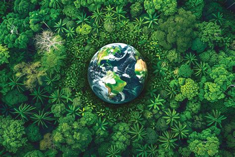 Embracing The Api Ecosystem In Harmony With Nature In Focus By