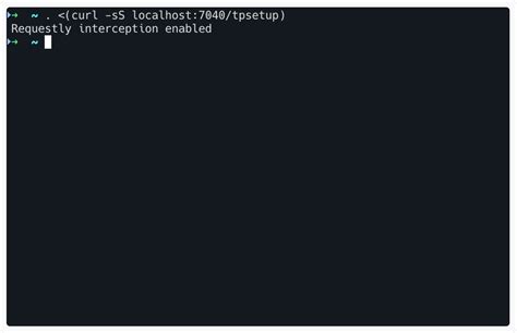 Intercept Traffic From Your Terminal