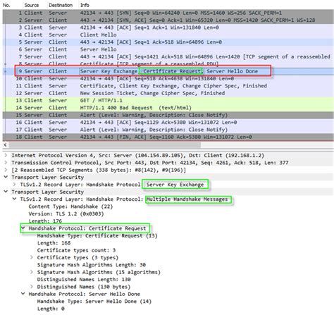 analyze tls and mtls authentication with wireshark golinuxcloud