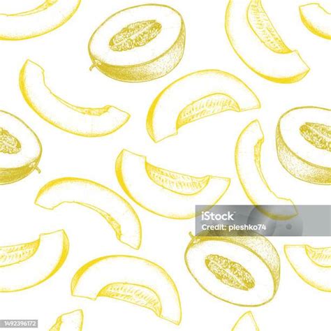 손으로 그린 멜론과 원활한 패턴 노란색 멜론 조각을 스케치합니다 맛있는 열대 과일 여름 배경입니다 벡터 그림입니다 건강한