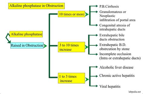 Alkaline Phosphatase Level Alp