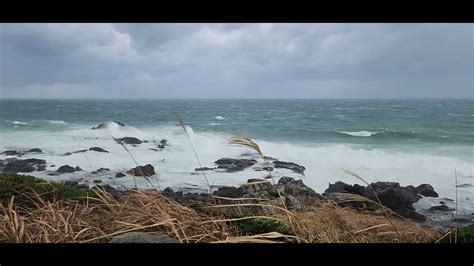 제주마실 제주바다 겨울바다 노을해안로 높은파도 물보라 랜선여행 힐링영상 Asmr Youtube