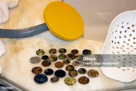 수중 금속 탐지기의 도움으로 수집 된 금과 은 화의 사진 보물 검색 및 관광 모험 배경 0명에 대한 스톡 사진 및 기타 이미지 0명 3차원 형태 감지기 Istock