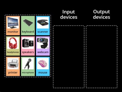 Input And Output Devices Group Sort
