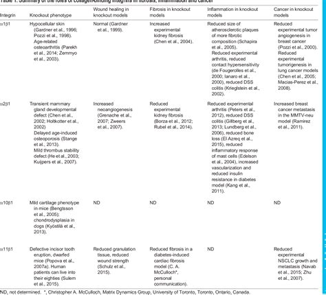 Table 1 From The Integrin Collagen Connection A Glue For Tissue Repair Semantic Scholar
