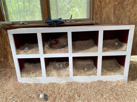 Poultry Nesting Boxes Nesting Boxes Hens Poultry