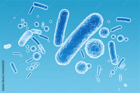 Enterobacteriaceae Gram Negative Rod Shaped Bacteria Part Of