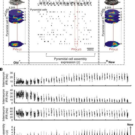 Interneuron Excitation State At Pyramidal Cell Spike Times Download Scientific Diagram