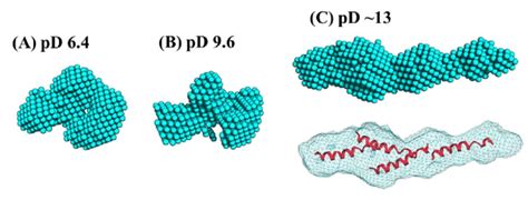 The Ab Initio Bead Models Generated By The Program Denfert 2728 And Download Scientific