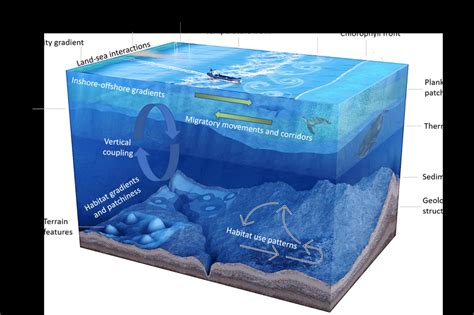 Examples Of Ecological Patterns And Processes That Determine How