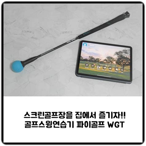 스크린골프장을 집에서 즐기자 골프스윙연습기 파이골프 Wgt 네이버 블로그