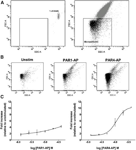 Platelet Microparticle Production In Response To Par Activation A Download Scientific