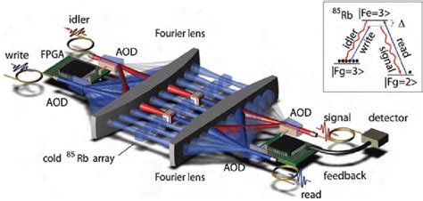 schematic illustration of the experimental setup for the multiplexed
