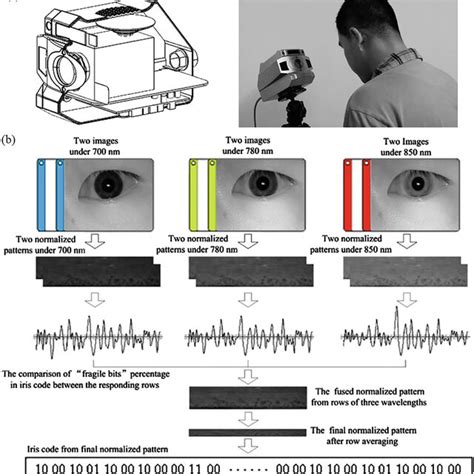 Multispectral Iris Recognition System And Data Fusion Process A Download Scientific Diagram