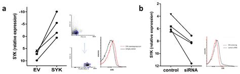Induced Syk Expression And Syk Silencing In T Cells A T Cells