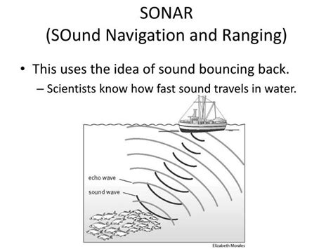 PPT Echolocation And Sonar PowerPoint Presentation ID 2323875