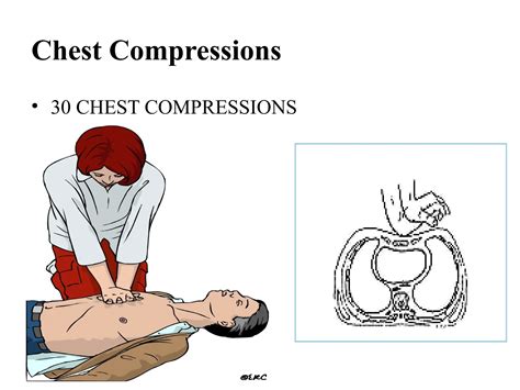 Advanced Cardiac Life Support Acls Shockable Non Shockable Rhythm