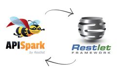 The Restlet Open Source And API Spark Cloud Business Model
