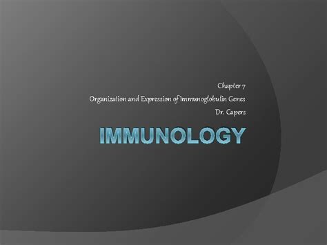 Chapter 7 Organization And Expression Of Immunoglobulin Genes