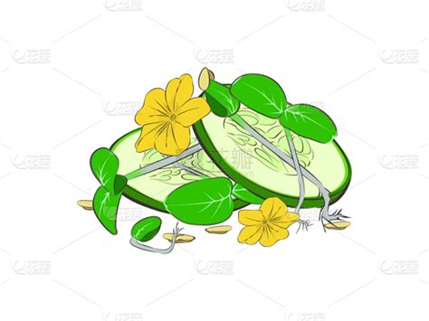 健康食物 特写 麦克格林 设计元素 农业 素食 蔬菜 健康保健 清新 背景分离