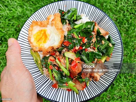 바삭한 삼겹살과 계란 후라이를 곁들인 매운 케일 야채 볶음 태국 길거리 음식 0명에 대한 스톡 사진 및 기타 이미지 0명 건강한 생활방식 건강한 식생활 Istock