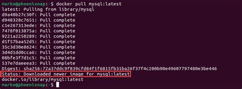 How To Update Docker Image And Container Phoenixnap Kb