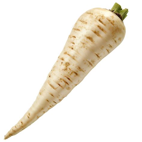 Premium Photo Parsnip Root Vegetable Tapered Shape Characterized By Its Wh Isolated On White