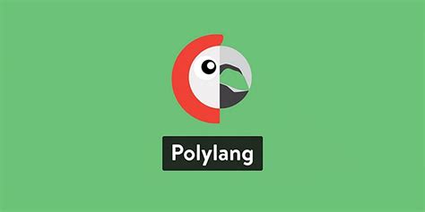 How To Translate A Website Using Polylang Plugin Step By Step Guide