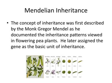 Mendelian Inheritance