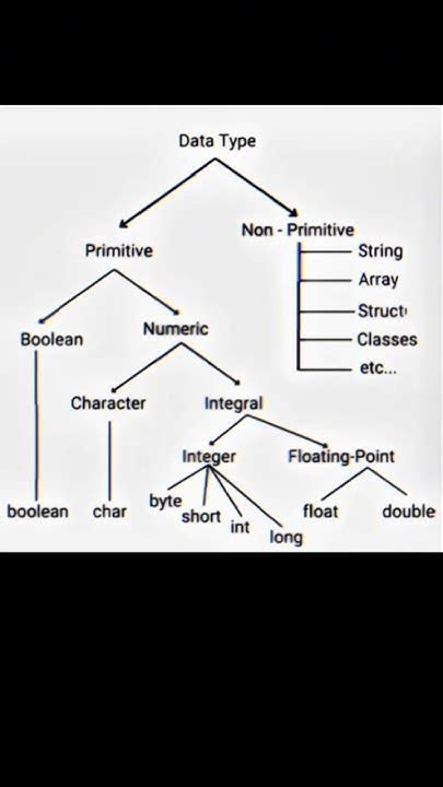 Data Types Coding Programming Webdevelopment Datatype Placement