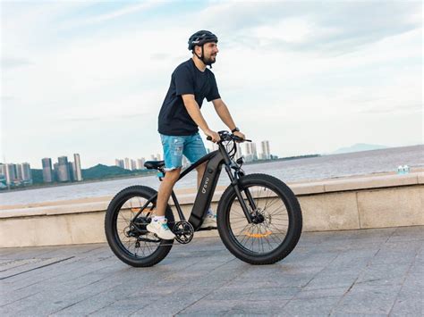 Dyu King 750 Fat Tire E Bike With 750 W Motor And 45 Kph Top Speed