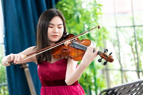 Orchestral String Instruments What Are They And What Should You Play Lessons In Your Home