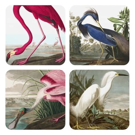 Magpie Birds Drink Coasters Set Of 4