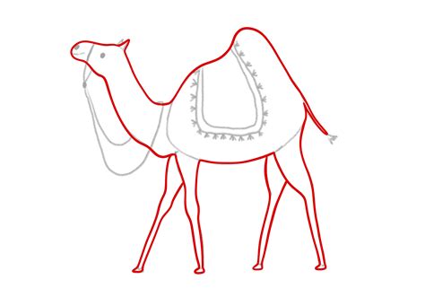 How To Draw A Camel Design School