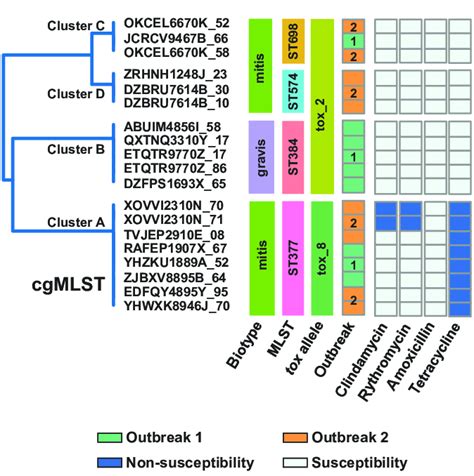 Relationships Between Cgmlst Clusters Corynebacterium Diphtheriae Download Scientific Diagram