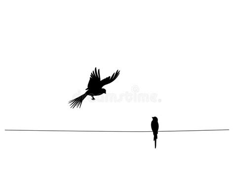 Bird On Wire And Flying Bird Silhouette Vector Stock Vector Illustration Of Pieces Vector