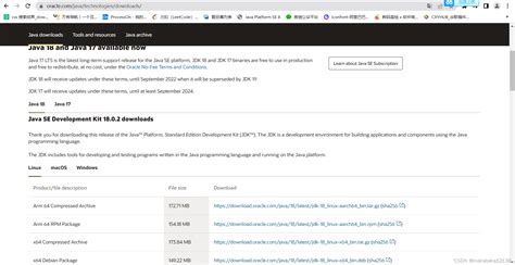 Java环境配置安装 以及idea的安装idea 设置java 21 环境 Csdn博客 Java环境配置安装 以及idea的安装idea 设置java 21 环境 Csdn博客