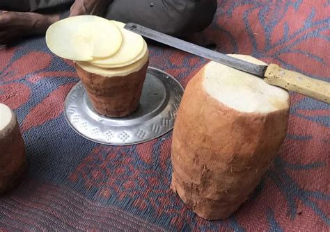 Tried Ram Kand Mool Lord Rams Superfood For Wellness
