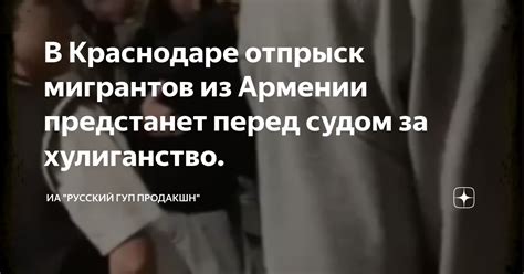 В Краснодаре отпрыск мигрантов из Армении предстанет перед судом за хулиганство ИА Русский