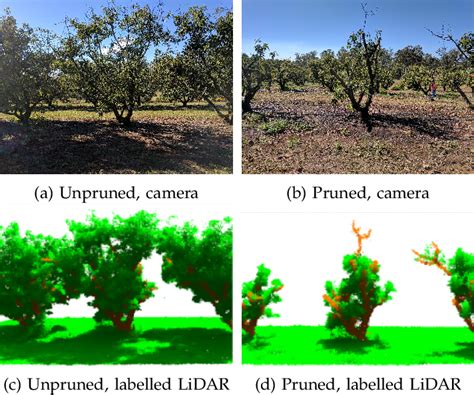 Figure 1 From A Procedure For Automated Tree Pruning Suggestion Using Lidar Scans Of Fruit Trees