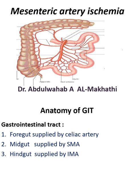 Mesenteric Artery Ischemia Pdf Pdf Ischemia Thrombosis