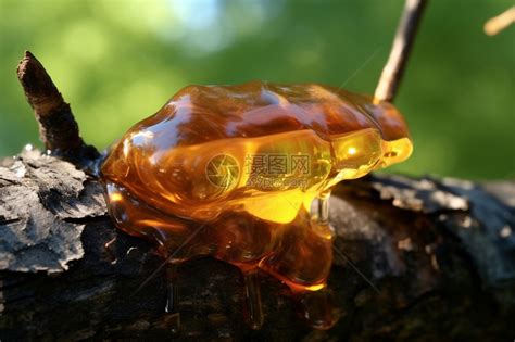 树脂高清图片下载 正版图片600278078 摄图网