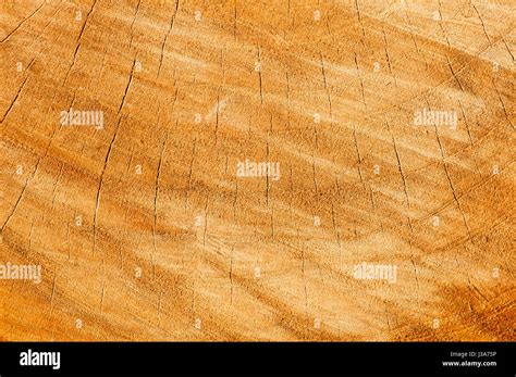 Texture Of Tree Stump For Your Background Stock Photo Alamy